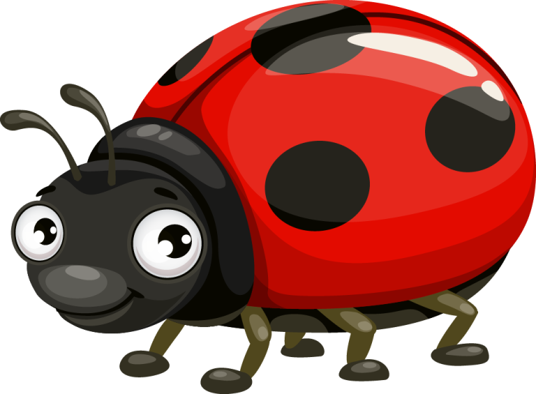 Ladybird - St Michaels Infant School